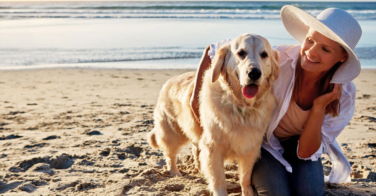 Learn Why Satellite Beach is One of Florida's Favorite