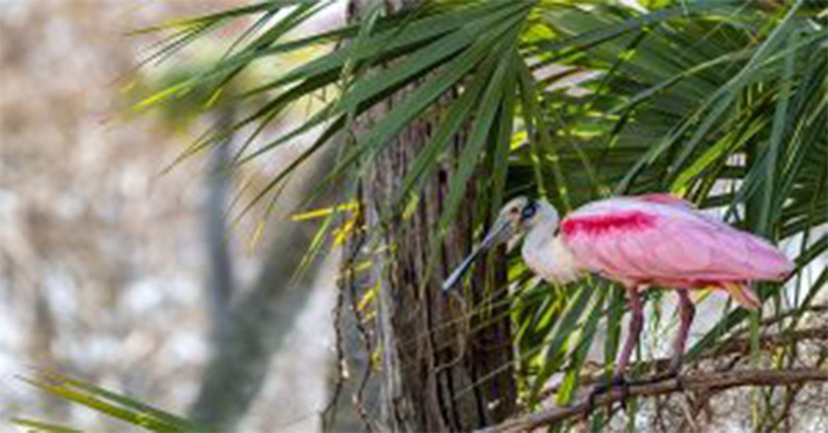 Explore The Many Martin County Parks